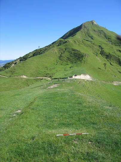 Heritage New Zealand - Pits